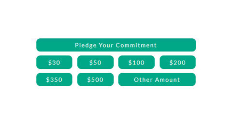 Section - Dynamic Rows with Buttons - Divi Guy Store